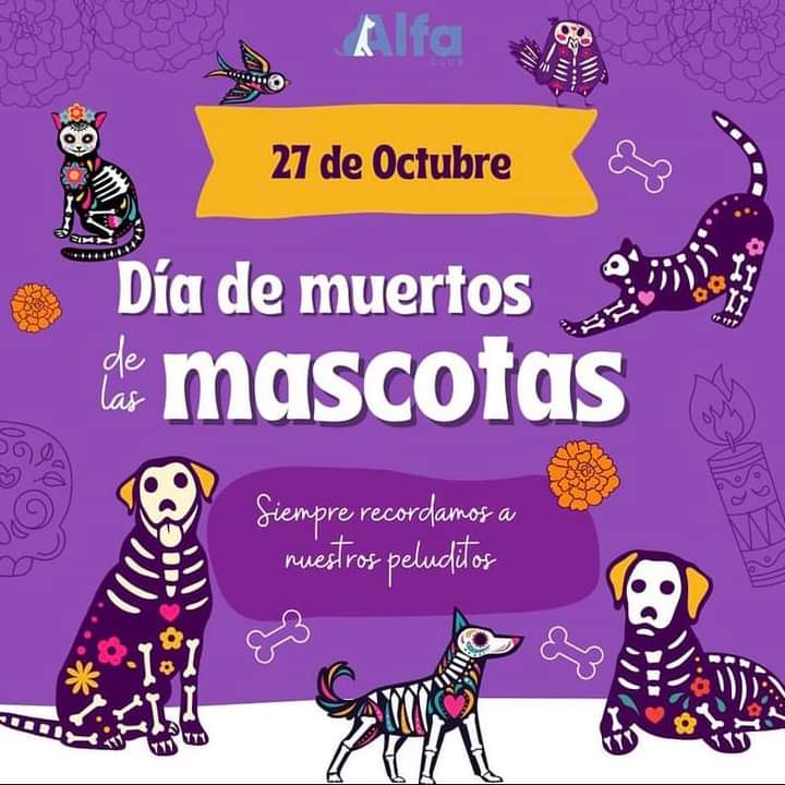 Hoy celebramos el día de muertos de las mascotas - Muspato