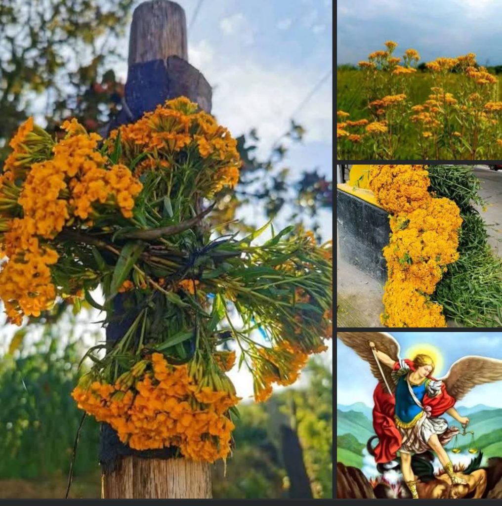 La Cruz de Pericón: Una Tradición de Fe y Protección en la Festividad ...